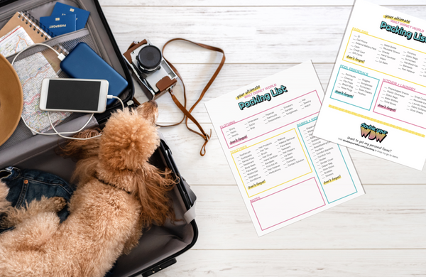 Disney World Ultimate Packing List - Free Printable Download - Double ...